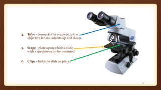 Microscope.pptx