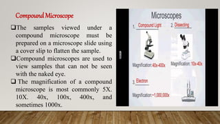 Microscope.pptx | Physics | Science