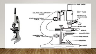 Microscope.pptx | Physics | Science