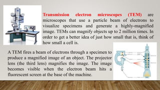 Microscope.pptx | Physics | Science