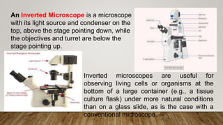 Microscope.pptx