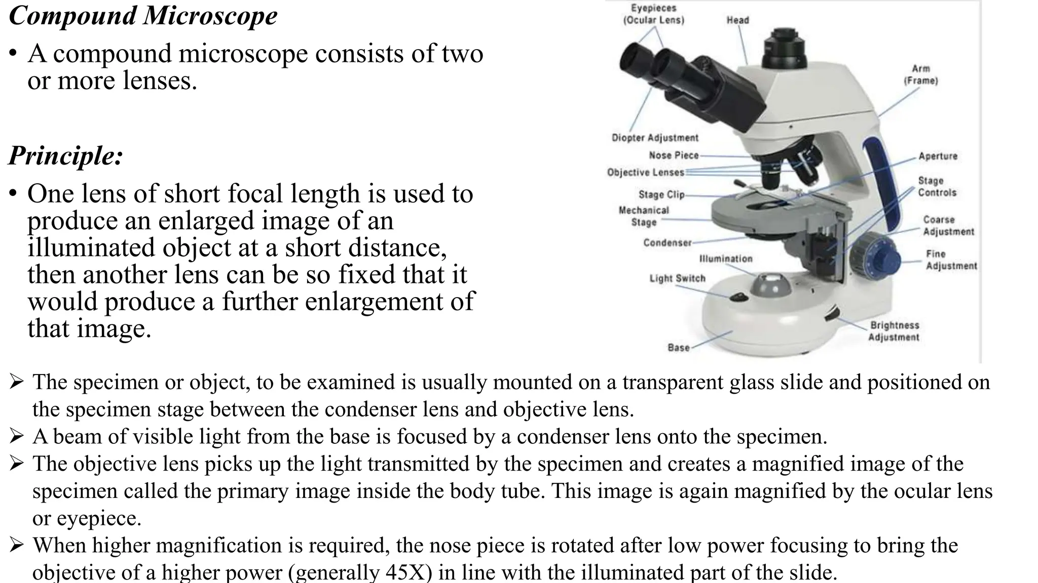 microscope.pptx