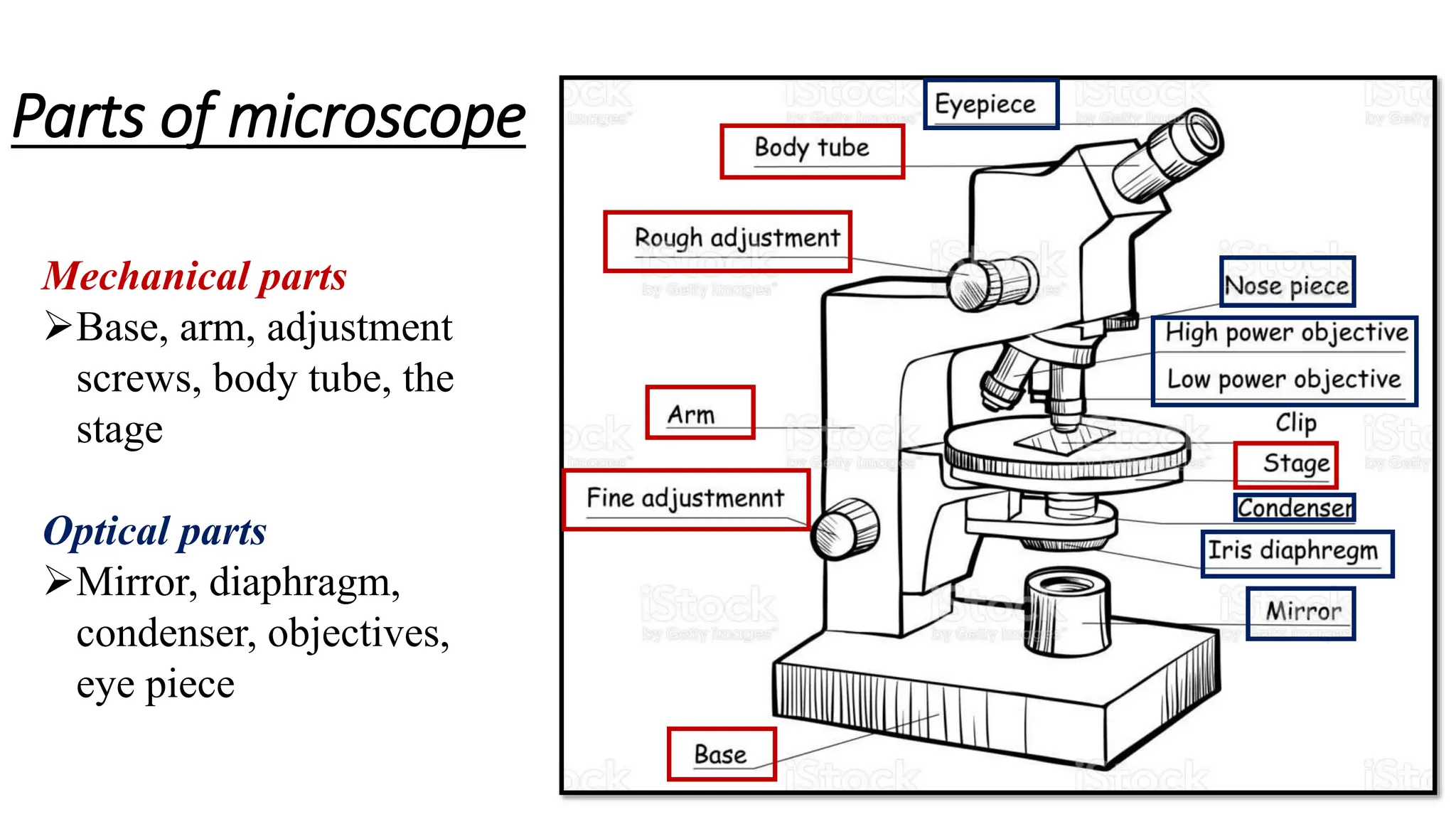 microscope.pptx