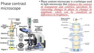 microscope.pptx | Photography | Arts and Crafts