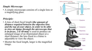 microscope.pptx