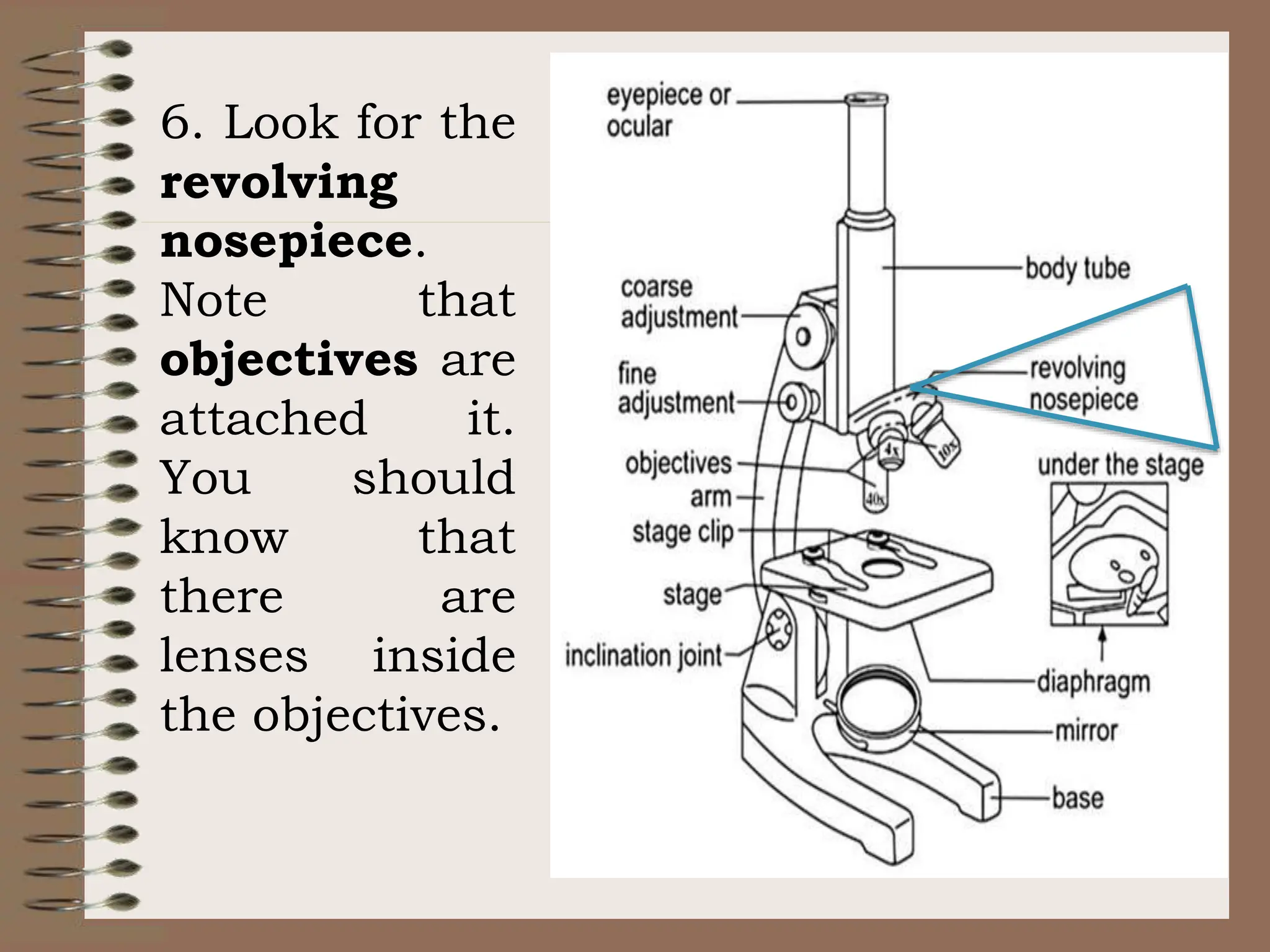 Microscope.ppt
