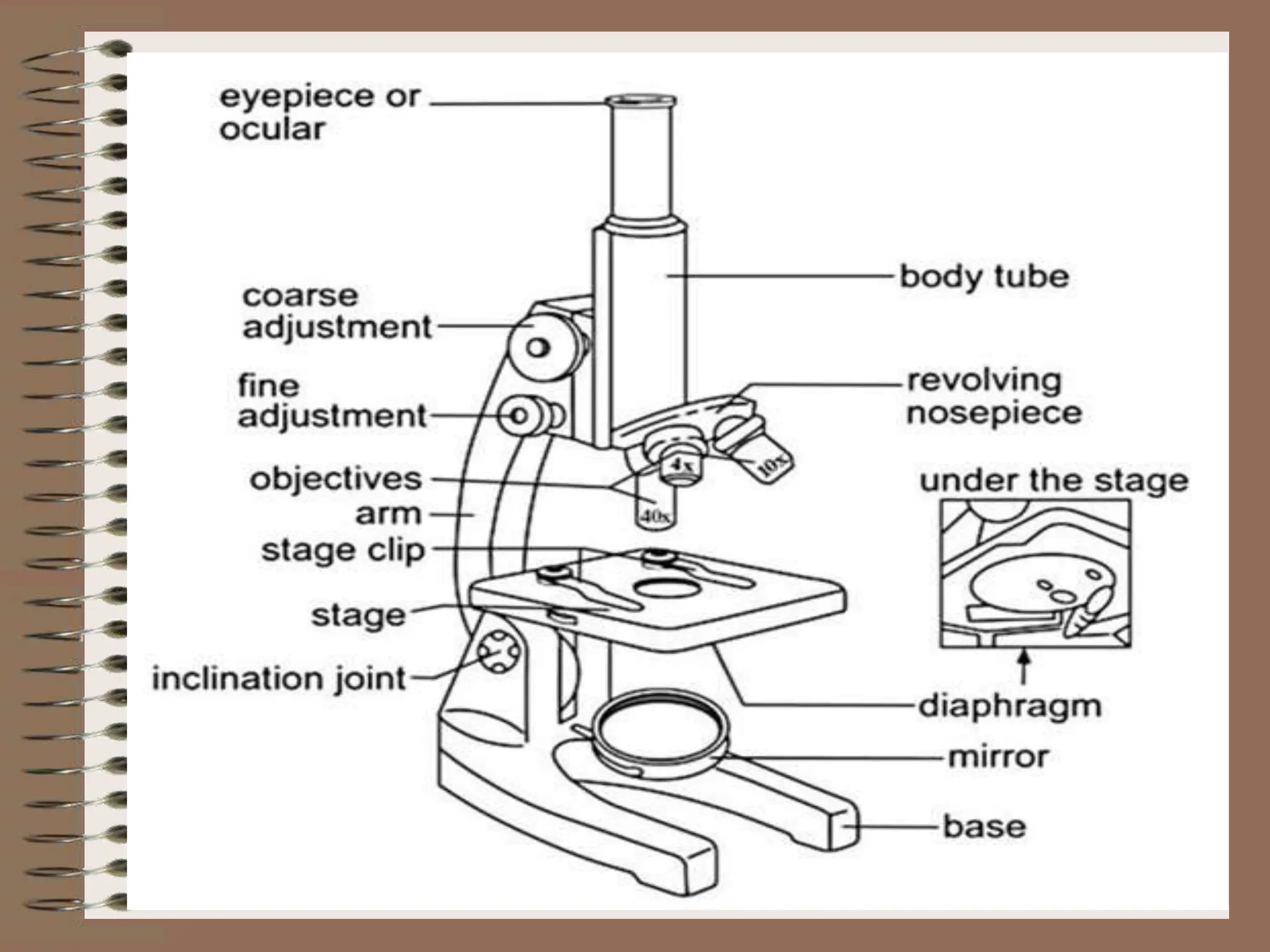 Microscope.ppt