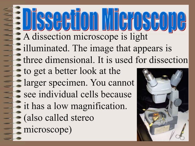 Microscope.ppt