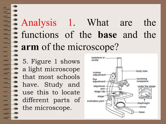 Microscope.ppt