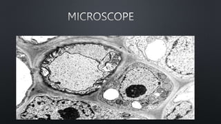microscope.pptx