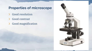 Microscope.pptx