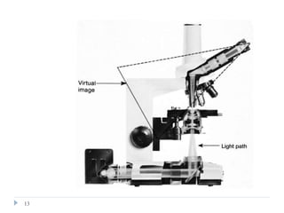 microscope PPt for BSC students for Practical Exam.pptx