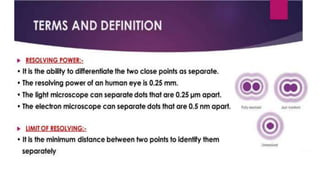 LECTURE NOTES FOR MICROSCOPE FOR STUDENTS.pptx. | PPTX