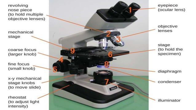 LECTURE NOTES FOR MICROSCOPE FOR STUDENTS.pptx. | PPTX