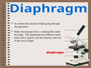 Parts and uses of Microscope in Medical Field | PPT