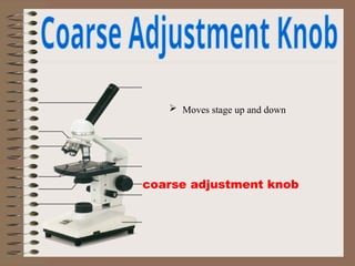 Parts and uses of Microscope in Medical Field | PPT