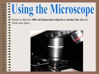 Parts and uses of Microscope in Medical Field | PPT