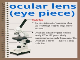 Parts and uses of Microscope in Medical Field | PPT