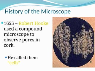 Microscope.pptx sample collectionHistory of the Microscope | PPT