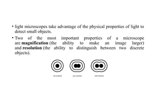 Microscope powerpoint presentation easyunderstand | PPTX