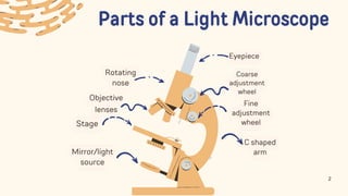 Microscope and its types and uses in lab | PDF