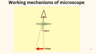 Microscope and its types and uses in lab | PDF