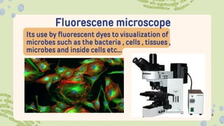 Microscope and its types and uses in lab | PDF
