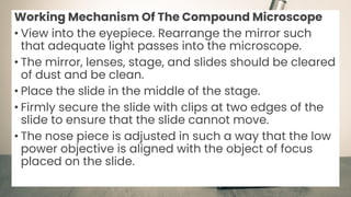 MICROSCOPE POWERPOINT PRESENTATION 12345 | PDF