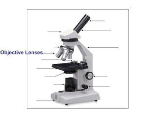 MICROSCOPE.pptx TYPES OF MICROSCOPE AND ITS USESS | PPTX