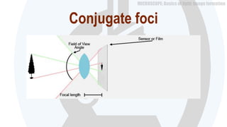 Microscopes- basics of optics | PPTX