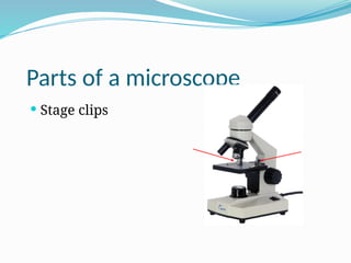 Microscope and Features of Its Essential Components.pptx