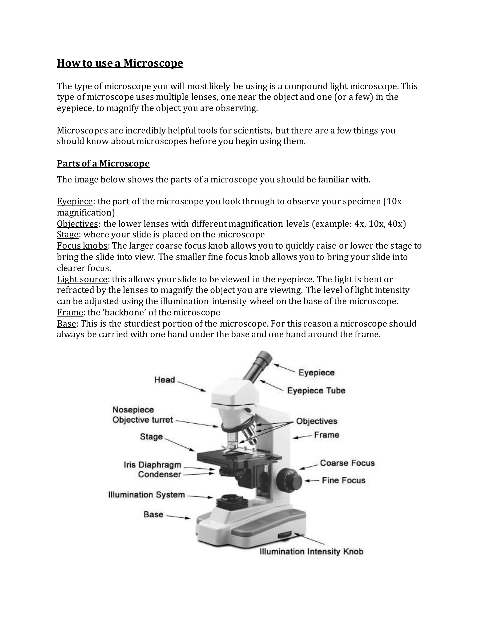 Microscope handout-ek | DOCX | Photography | Arts and Crafts
