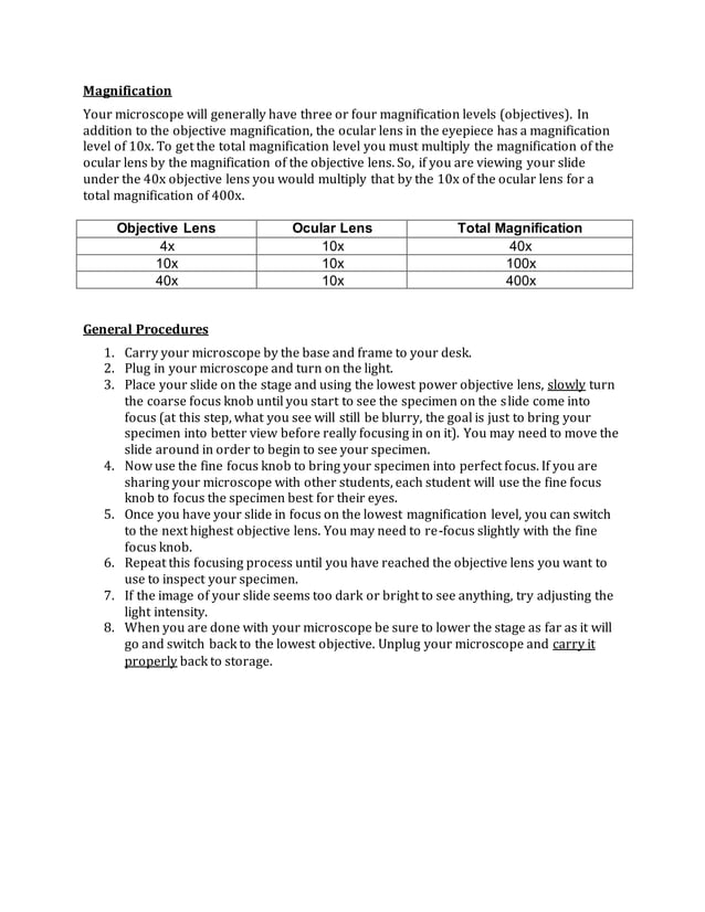 Microscope handout-ek | DOCX | Photography | Arts and Crafts