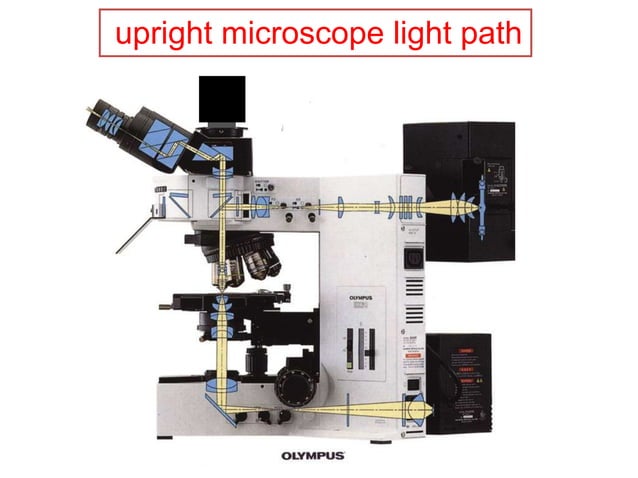 Microscope iii | PPT