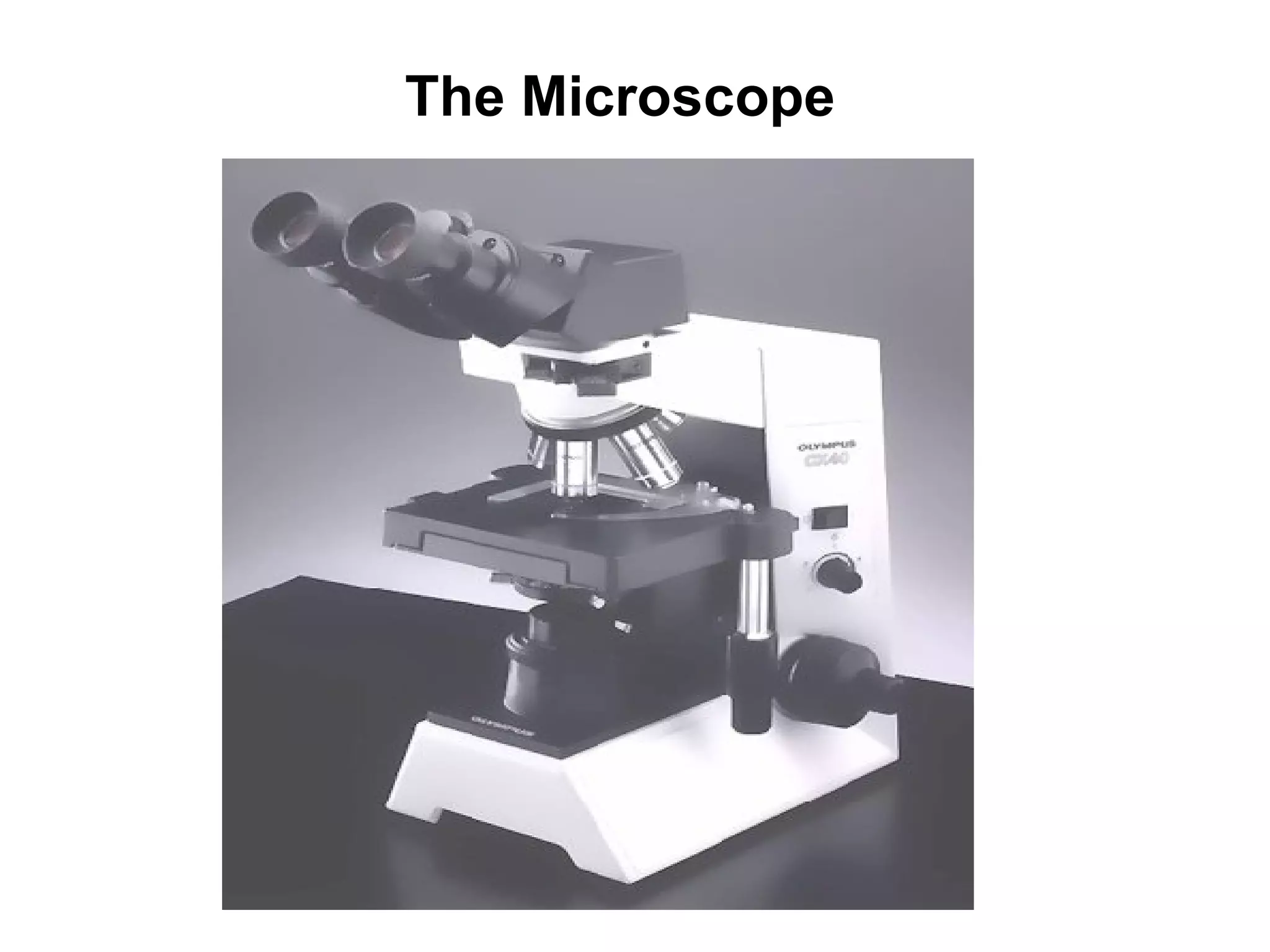 Microscope Lab | PPT