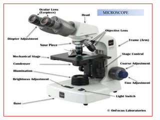 microscope- lecture 2.pptx