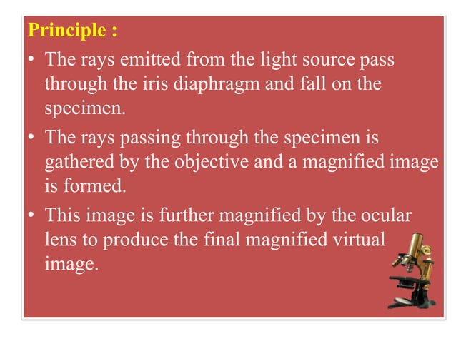 microscope- lecture 2.pptx