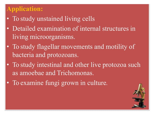 microscope- lecture 2.pptx