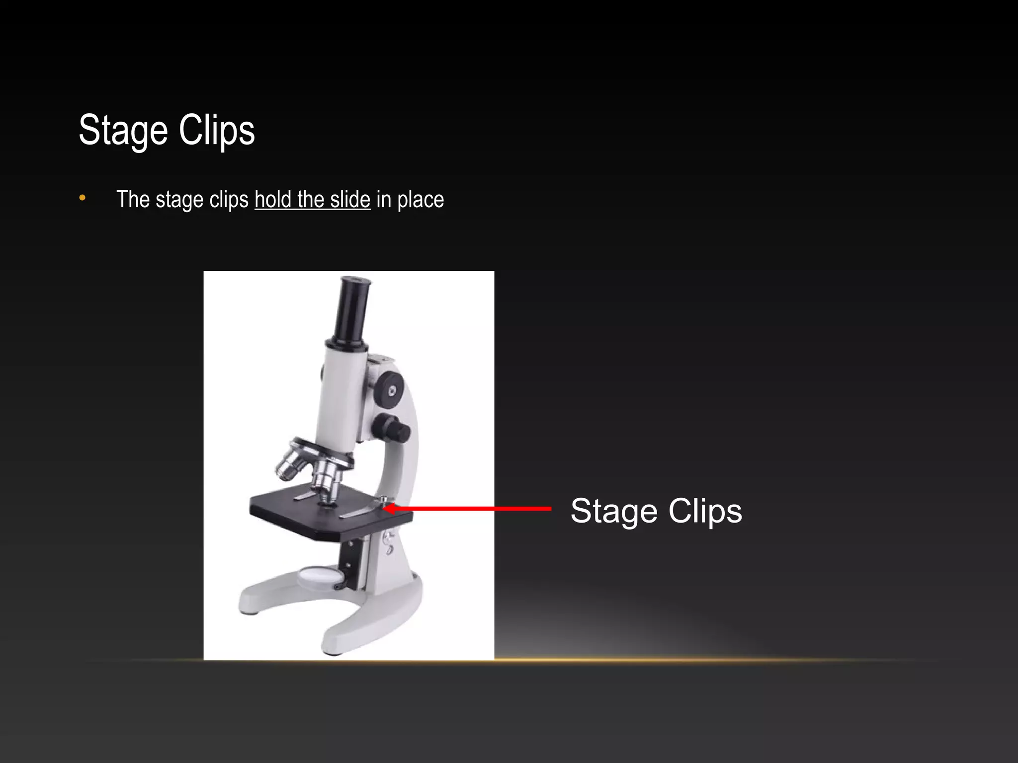 Microscope parts and functions | PPT