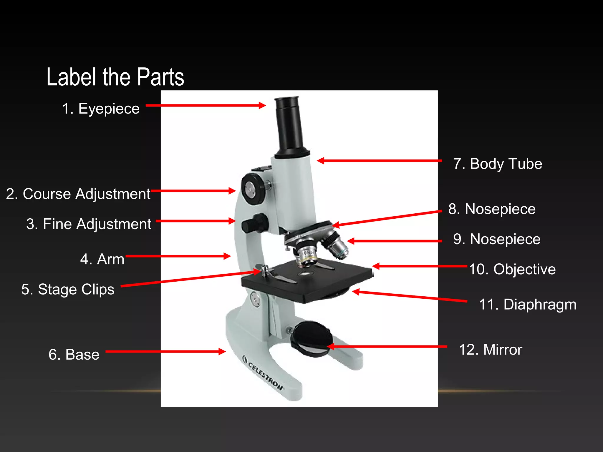 Microscope parts and functions | PPT