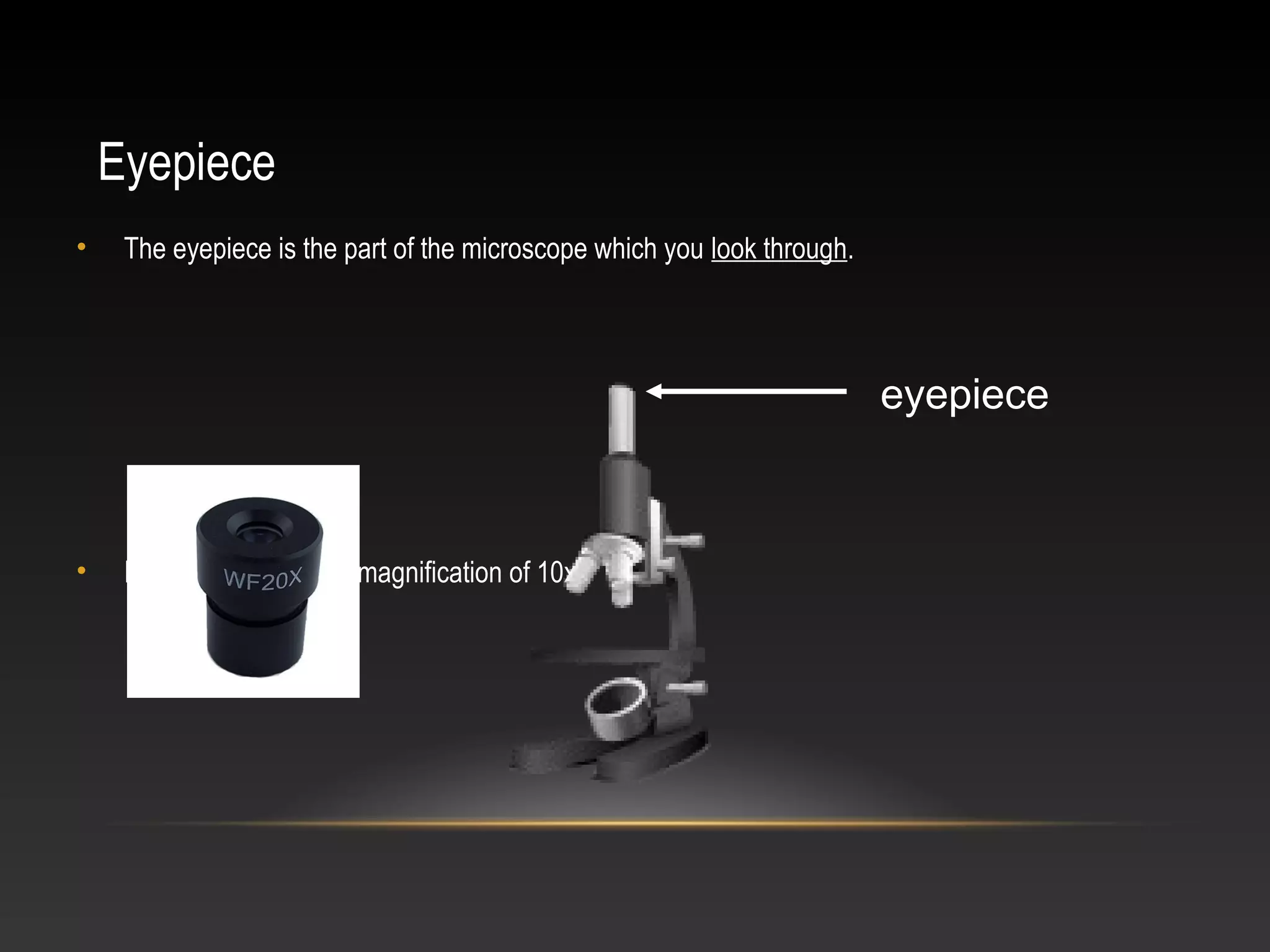 Microscope parts and functions | PPT