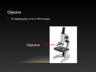 Microscope parts and functions | PPT