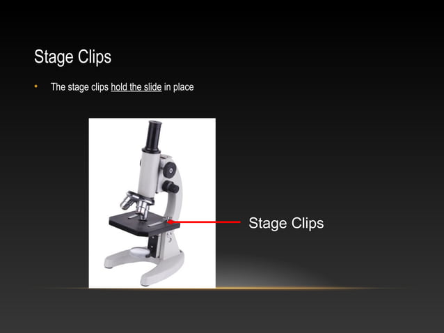 Microscope parts and functions | PPT