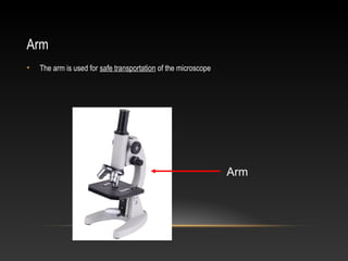 Microscope parts and functions | PPT
