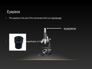 Microscope parts and functions | PPT