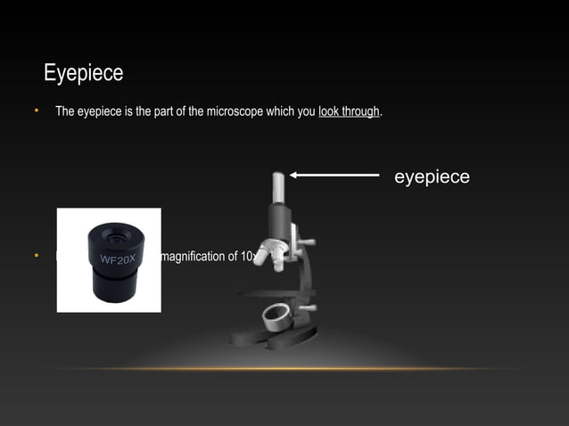 Microscope parts and functions | PPT