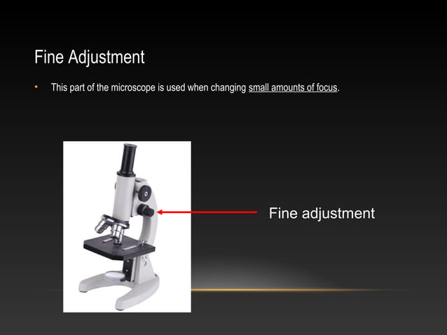 Microscope parts and functions | PPT