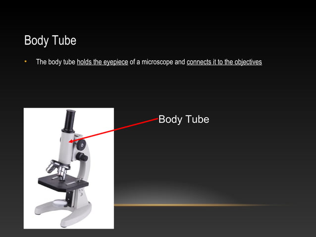 Microscope parts and functions | PPT