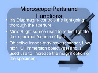 Microscope 1 | PPT