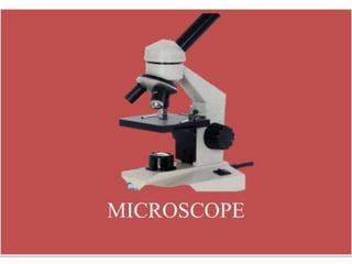 MICROSCOPE (1).pptx
